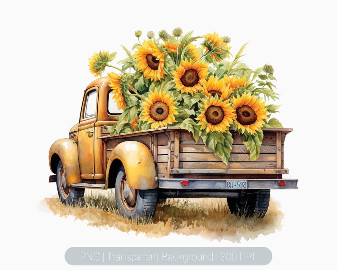 Watercolor Sunflower Truck Clipart, Fall Sunflowers Floral Bouquets ...