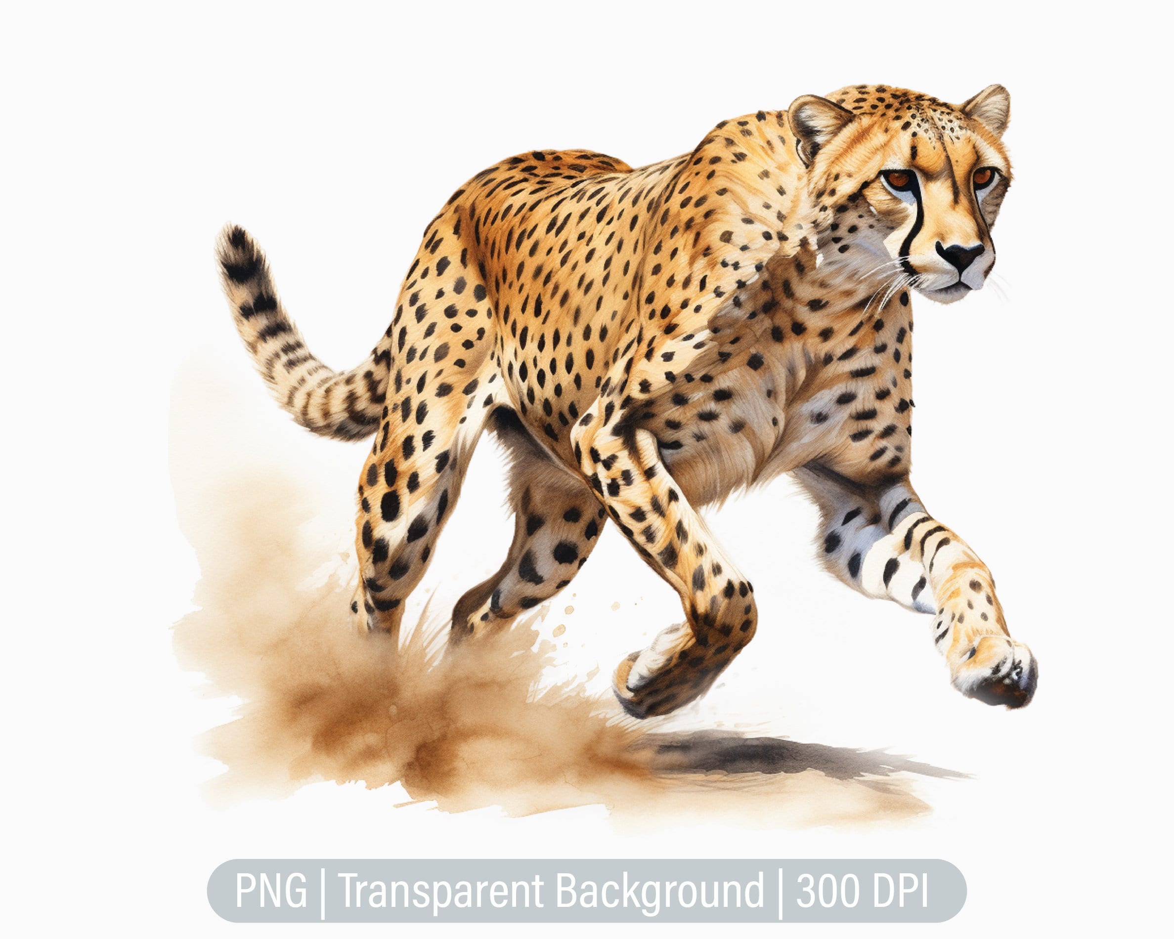Running Cheetah Clipart, Safari Animals PNG, Savanna Animal, Junk ...