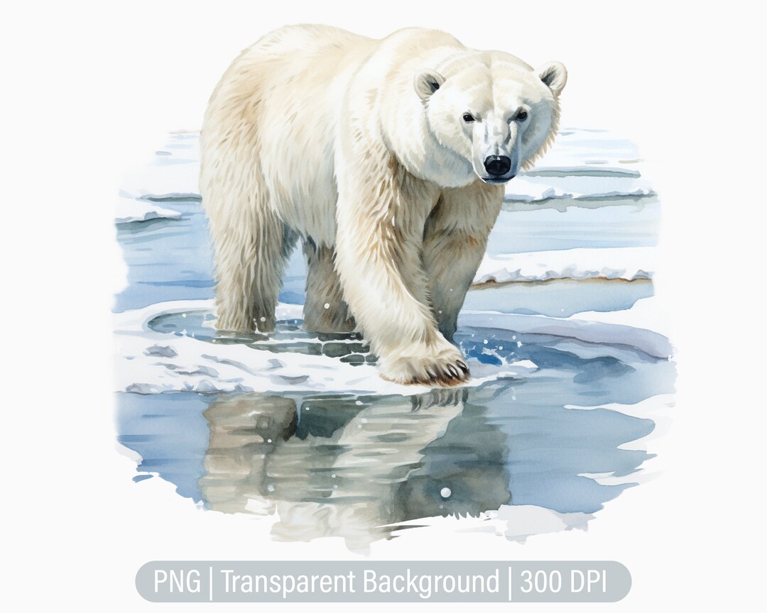 Polar Bear Clipart, White Bear PNG, Ice Winter Bear Clipart, Junk ...