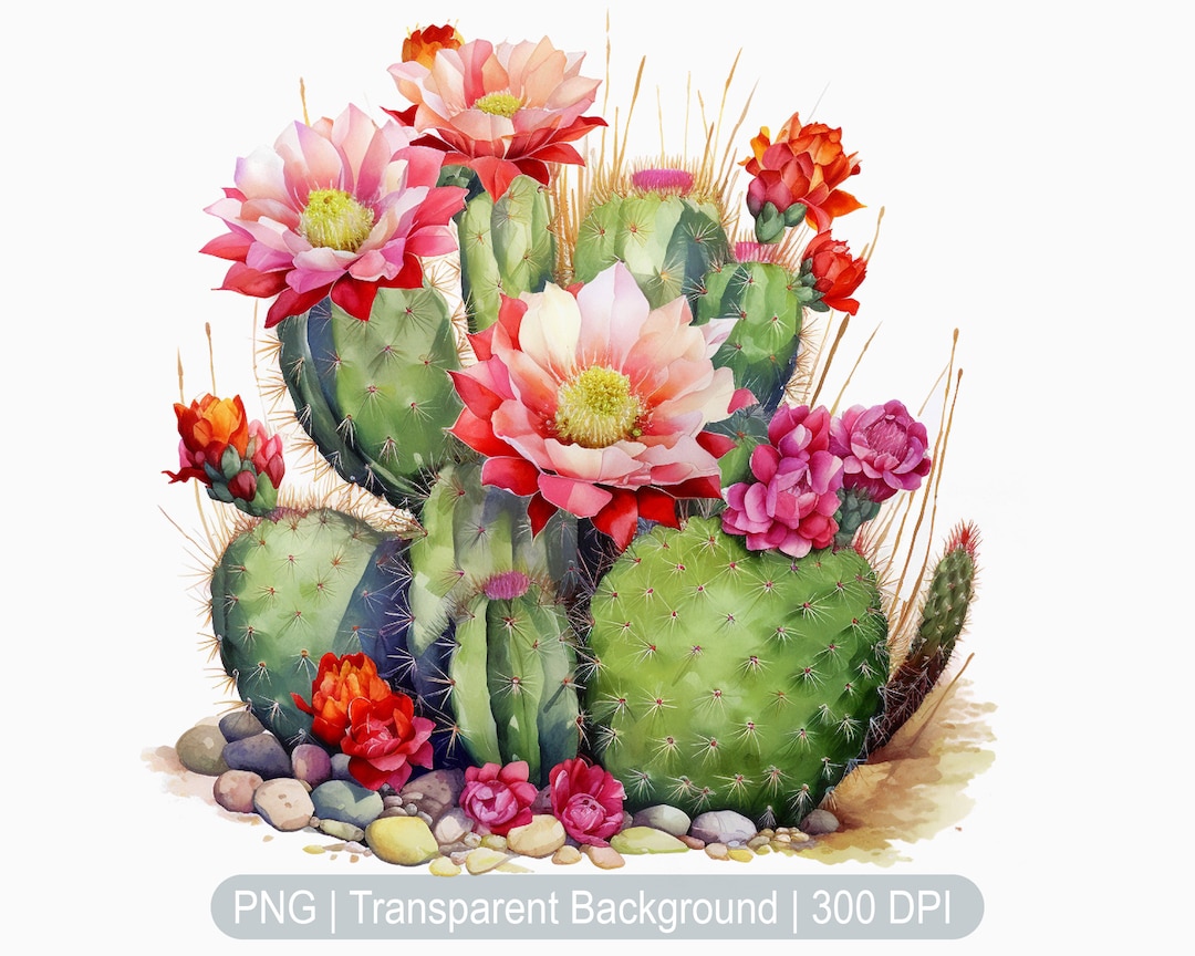 Watercolor Cactus Clipart, Desert Cactus Clipart, Desert Cacti ...