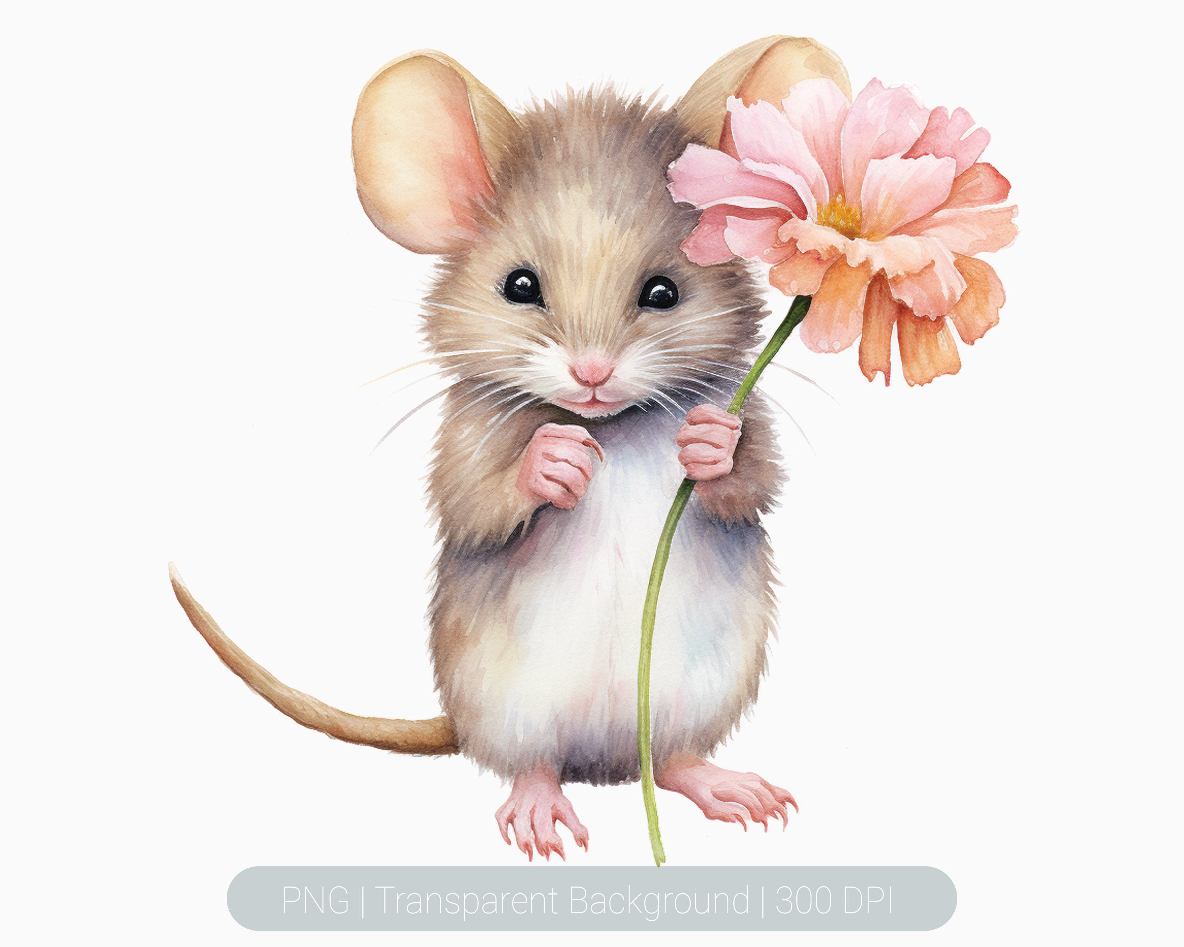 Mouse and Flower Clipart, Cute Mouse With Flower Png, Cute Animal ...