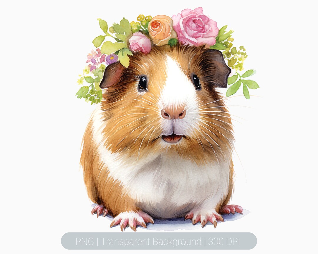 Watercolor Guinea Pig Clipart, Cute Floral Guinea Pig, Guinea Pig Png ...