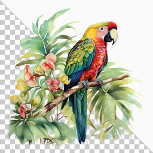 Watercolor Parrot Clipart, Tropical Birds With Flowers and Leaves ...
