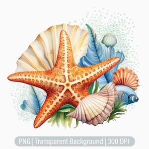 Starfish Clipart, Ocean Animals PNG Clipart, Sea Shells, Junk Journals ...