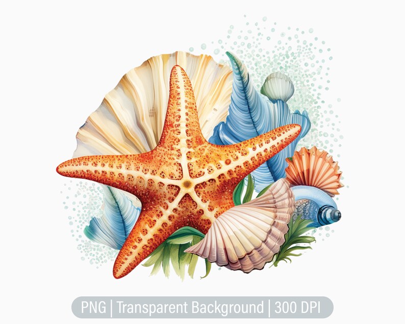 Starfish Clipart, Ocean Animals PNG Clipart, Sea Shells, Junk Journals ...