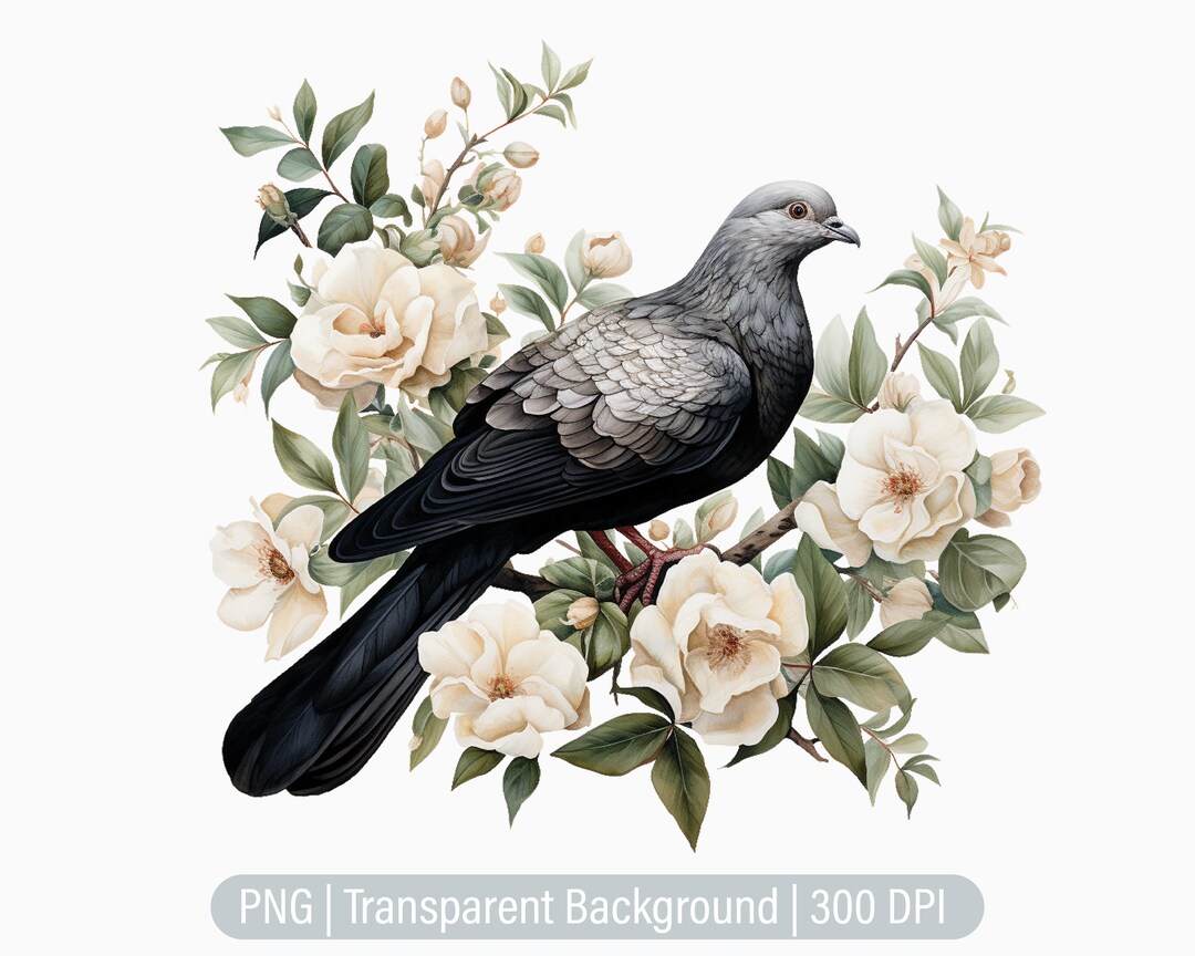 Pigeon Clipart, Floral Dove PNG, Bird Clipart, Junk Journals ...