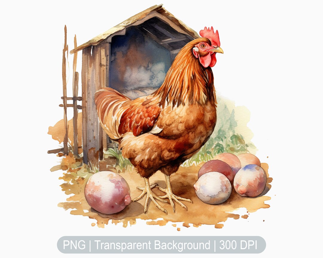 Watercolor Chicken Coop Clipart, Farm Animals Clip Art, Hen Clipart ...