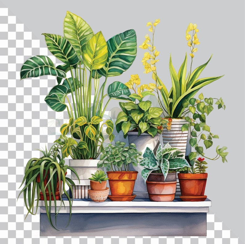 Watercolor Potted Plants Clipart House Plant PNG Indoor - Etsy