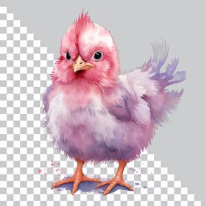 Baby Chick Clipart, Watercolor Cute Baby Chicken Clipart, Chicken Png ...