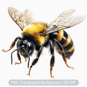 Bee Clipart, Bumble Bee PNG, Spring Bee Flowers, Junk Journals ...