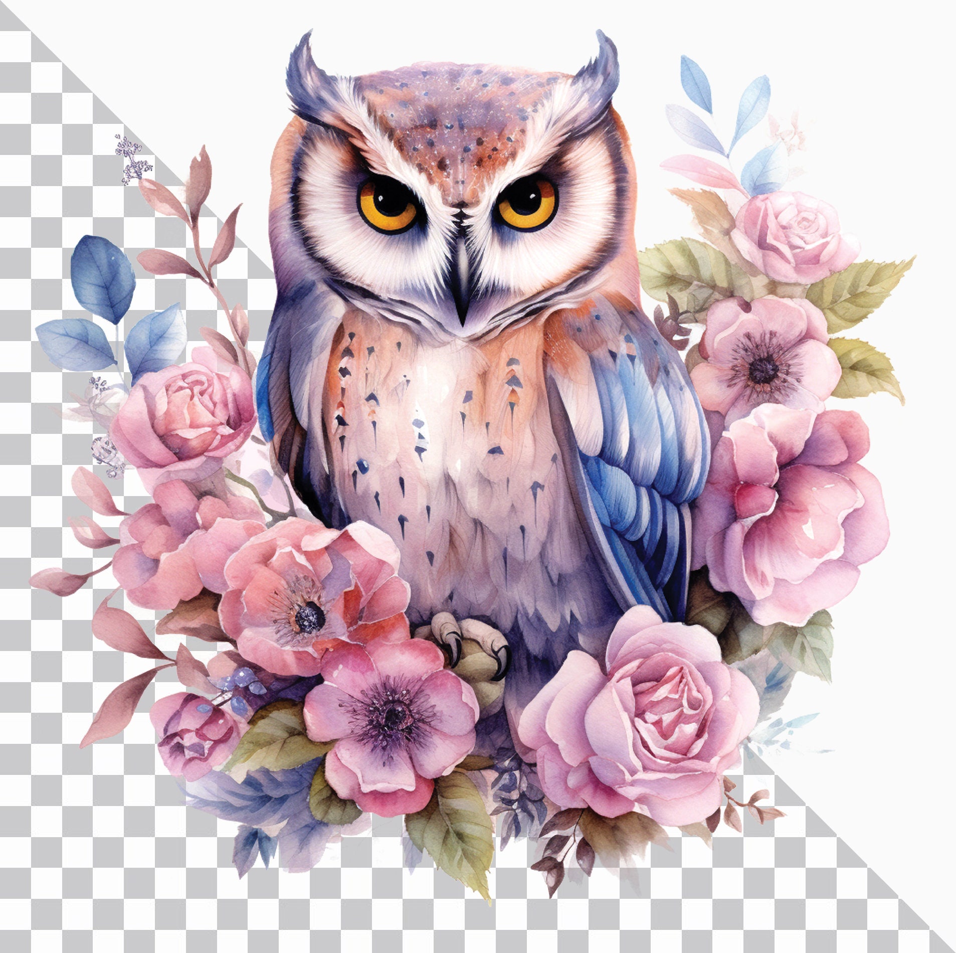 Watercolor Floral Owls Clipart Owls Clip PNG Fantasy - Etsy