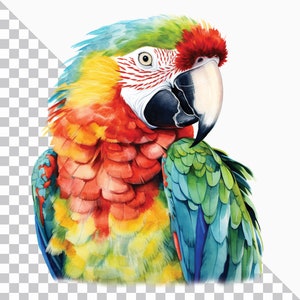 Watercolor Parrot Clipart, Tropical Birds With Flowers and Leaves ...