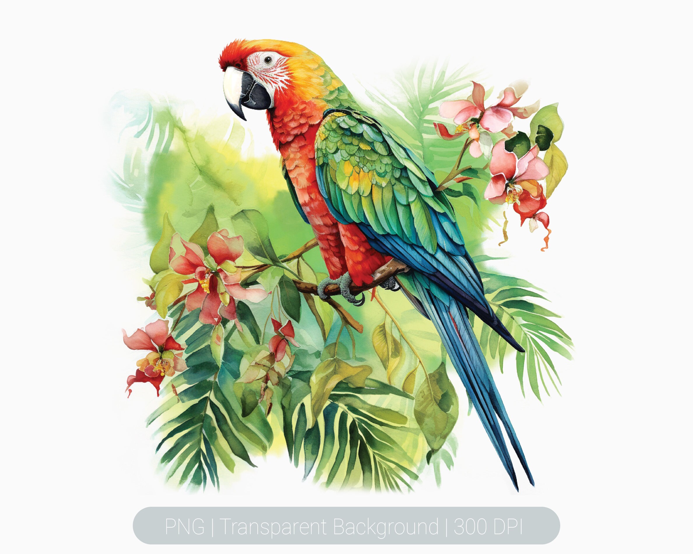 Watercolor Parrot Clipart Tropical Birds Floral Parrot - Etsy