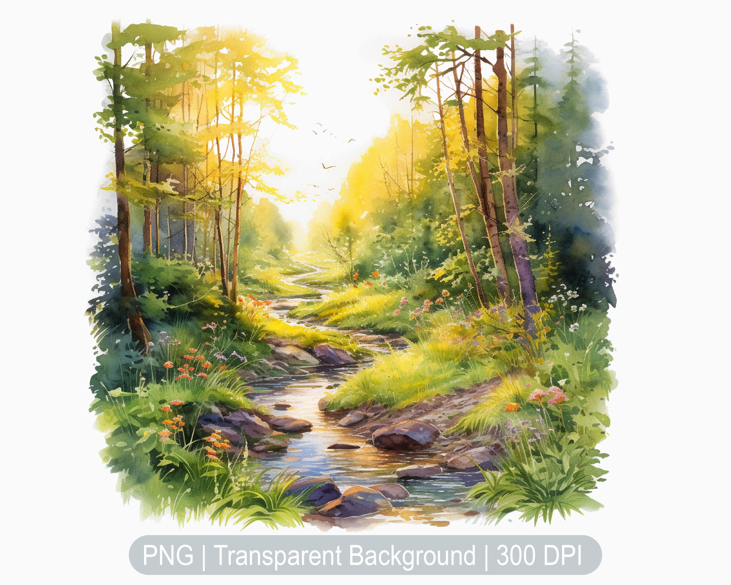 Forest Clipart, Forest Trail Clipart, Sunset Forest, Spring Woodland ...