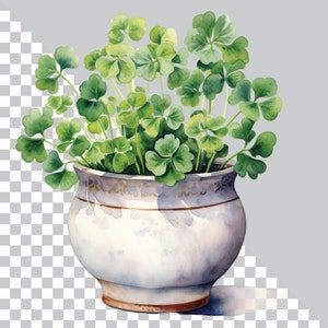 Potted Clover Plants Clipart, Shamrock, St Patricks PNG, Lucky Leaf ...