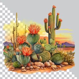 Watercolor Cactus Clipart, Desert Cactus Clipart, Sunset Desert ...