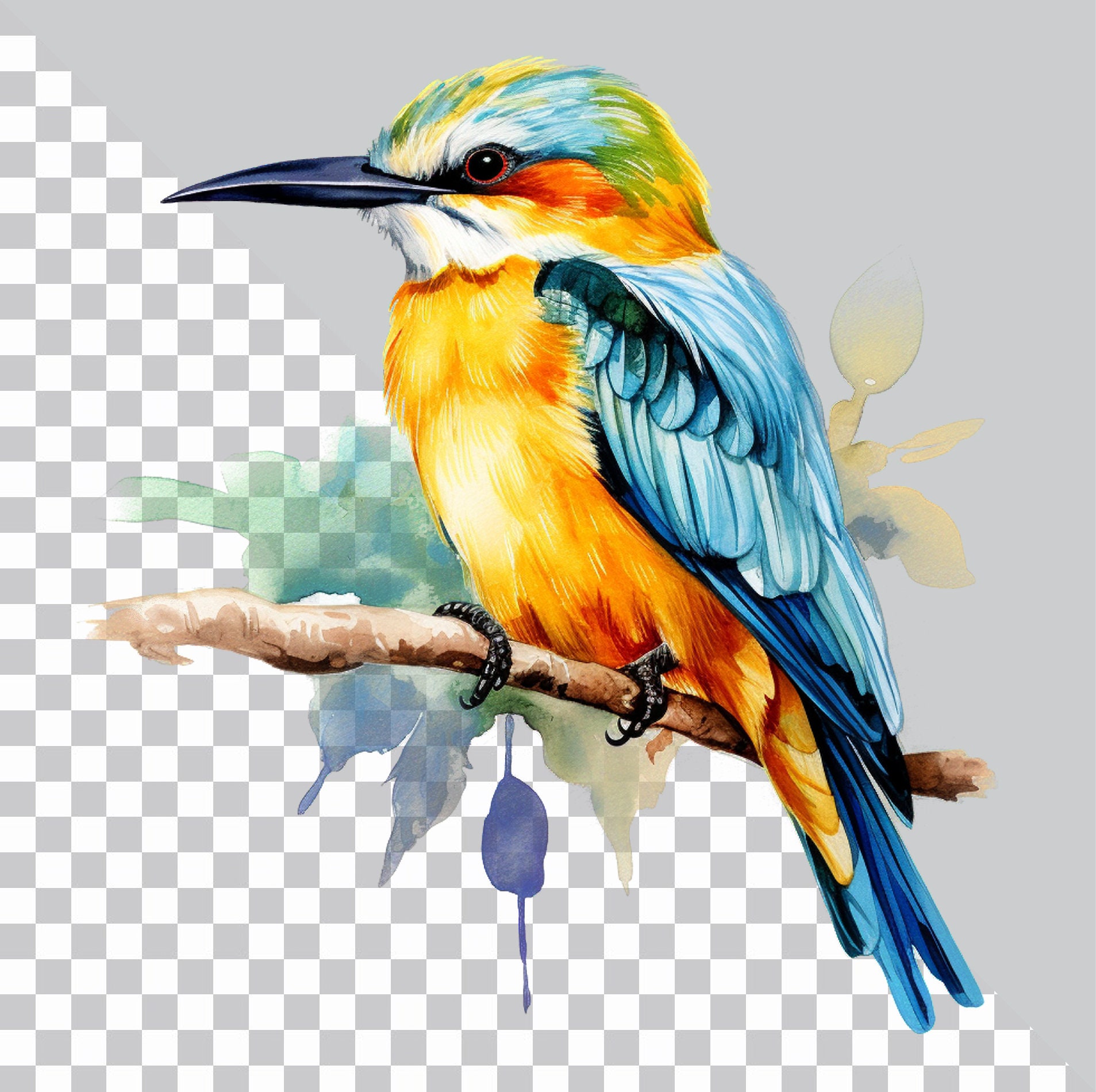 Tropical Bird Clipart, Watercolor Bird Png, Rainforest Bird, Colorful ...