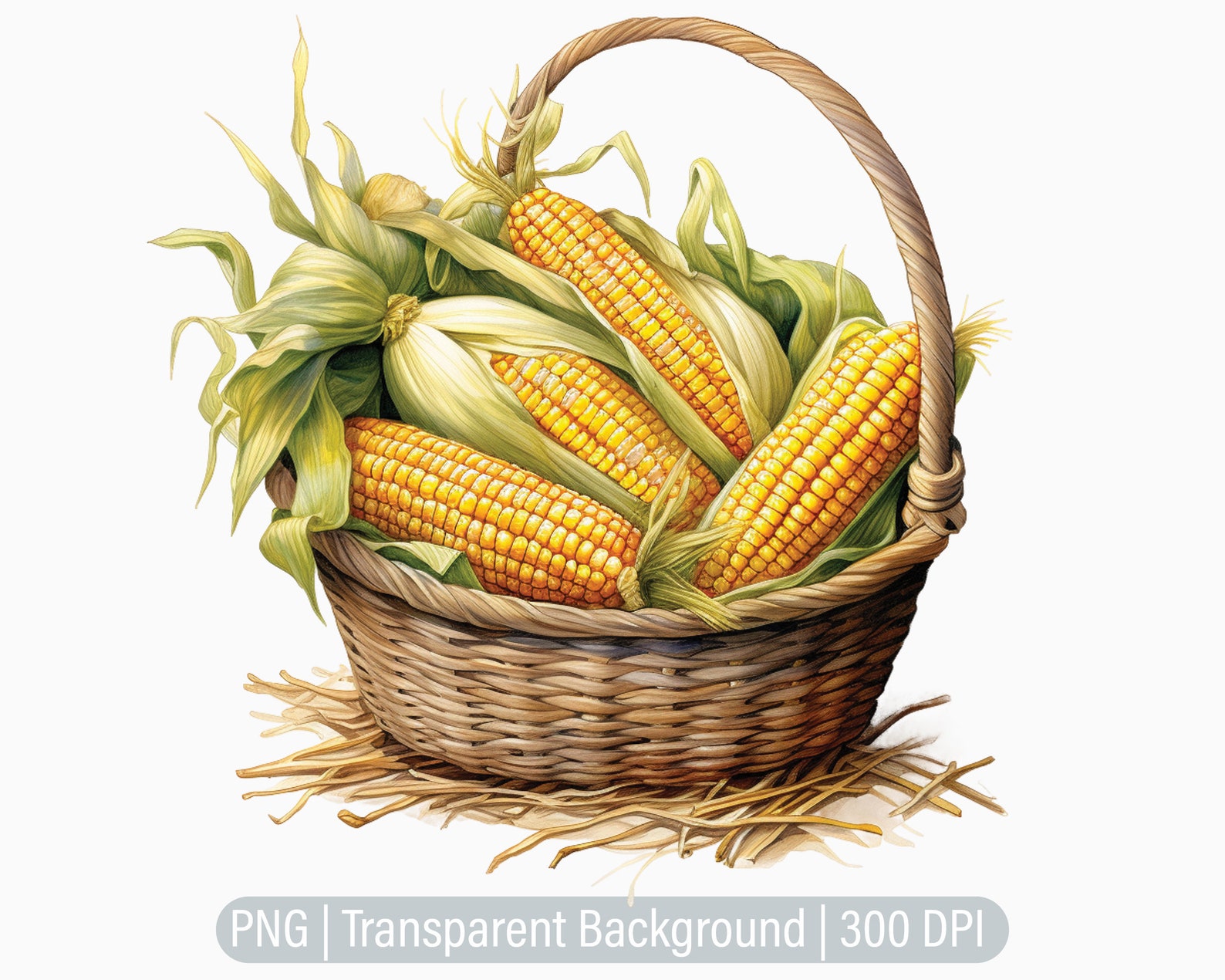 Corn Basket Clipart, Corn Farm PNG, Junk Journals, Scrapbooking ...