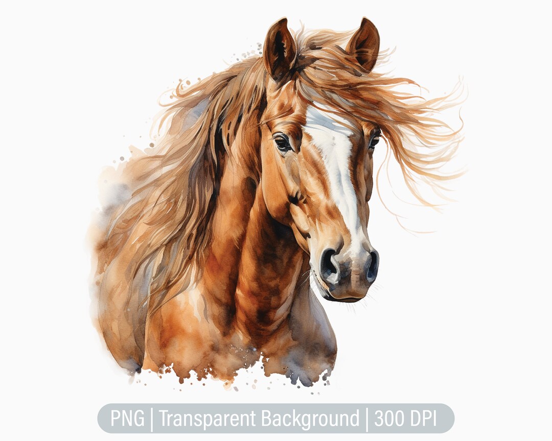 Horse Portrait Clipart, Horse Face Clipart, Farm Horses , Junk Journals ...