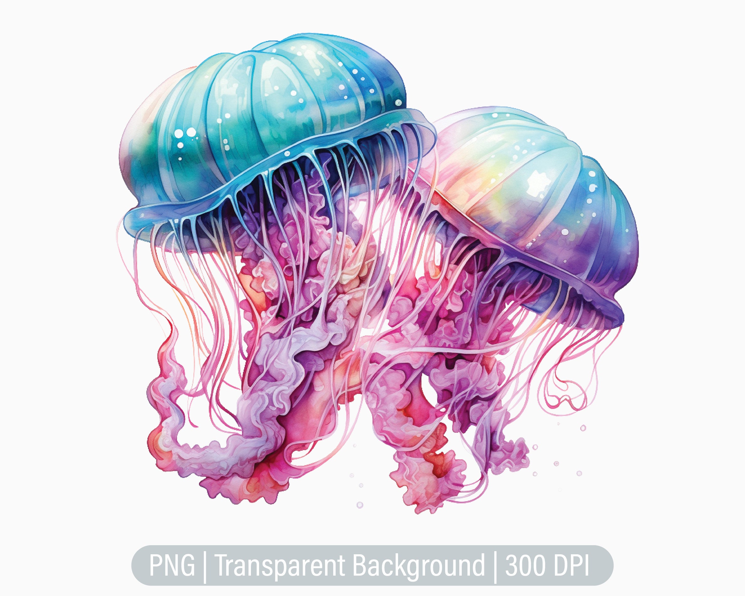 Jelly Fish Clipart, Ocean Animals Clipart, Patel Jelly Fish, Junk ...