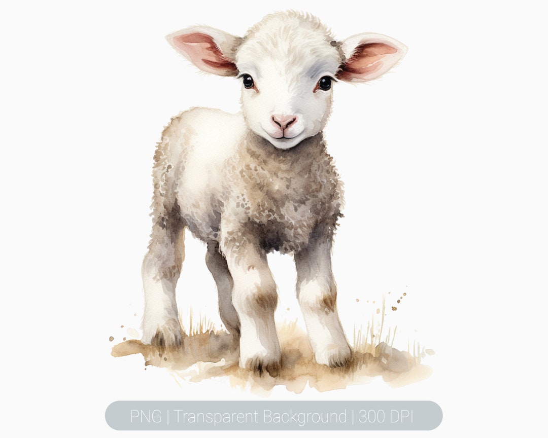 Baby Lamp Clipart, Sheep Clipart, Watercolor Baby Sheep Png, Lamp PNG ...