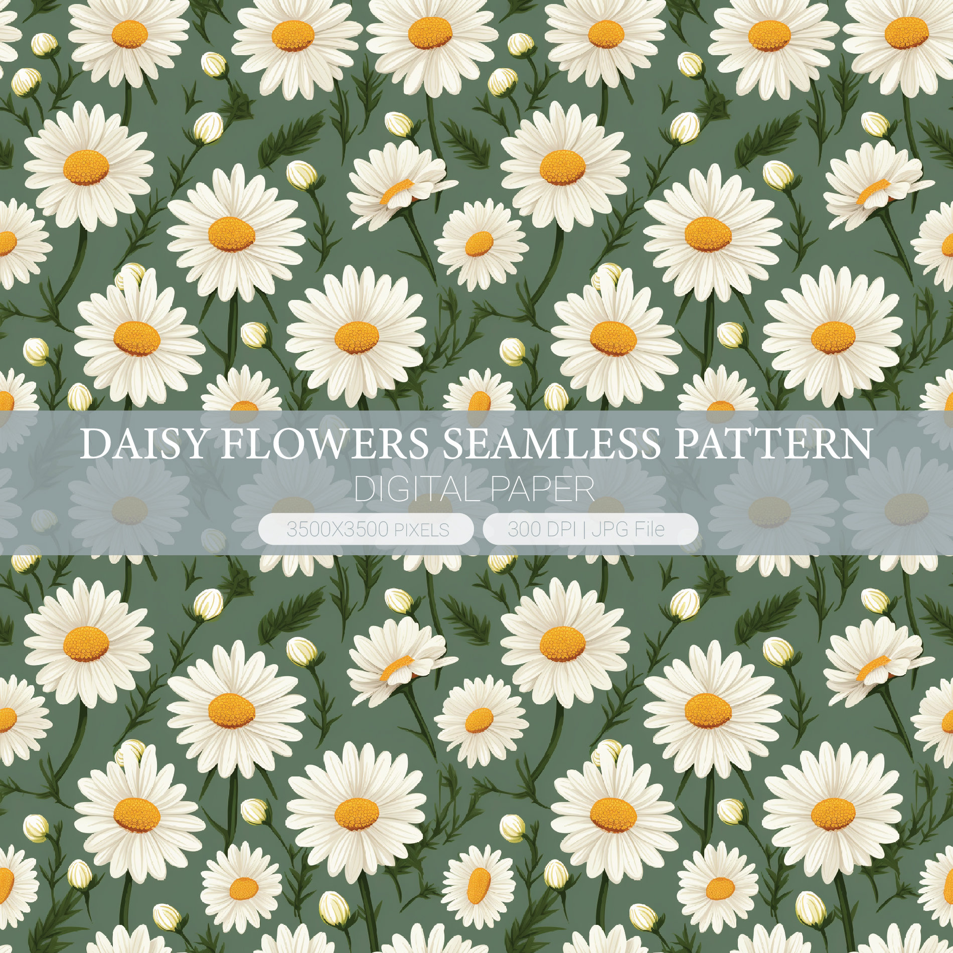 Daisy Flowers Digital Paper Floral Seamless Pattern White - Etsy