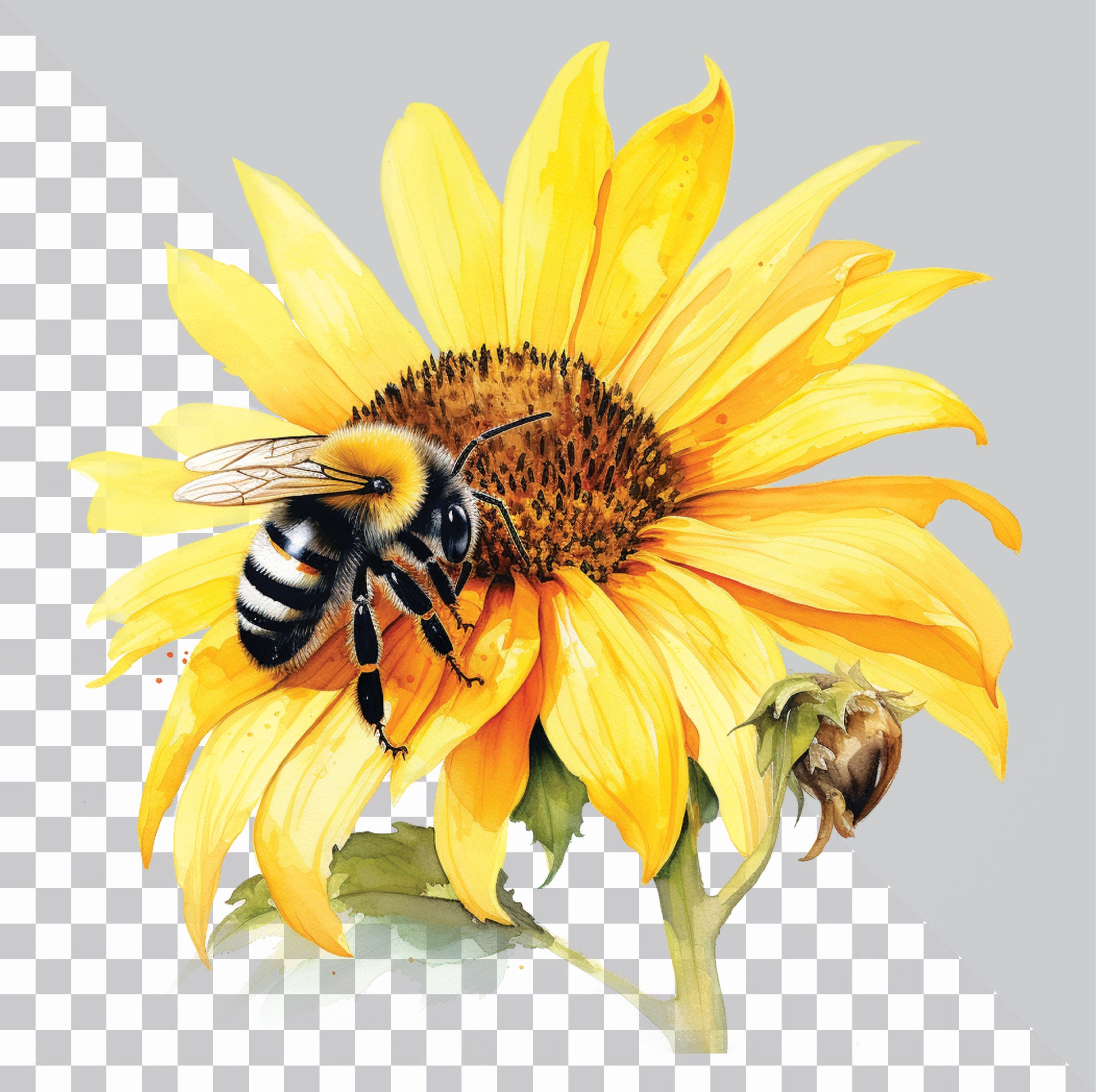 Watercolor Honey Bee Clipart Bumble Bee Honey Comb Floral - Etsy