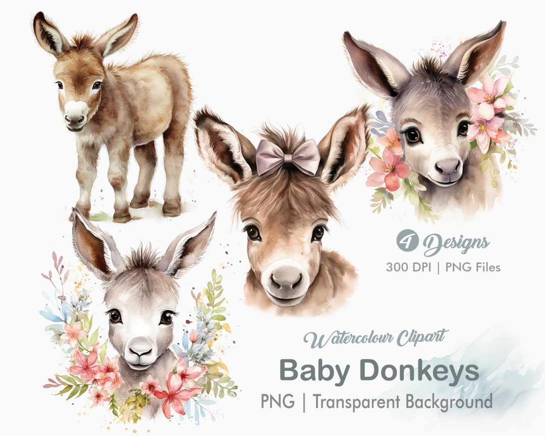 Baby Donkey Clipart, Cute Donkey PNG Clipart, Donkey Png, Junk Journals ...