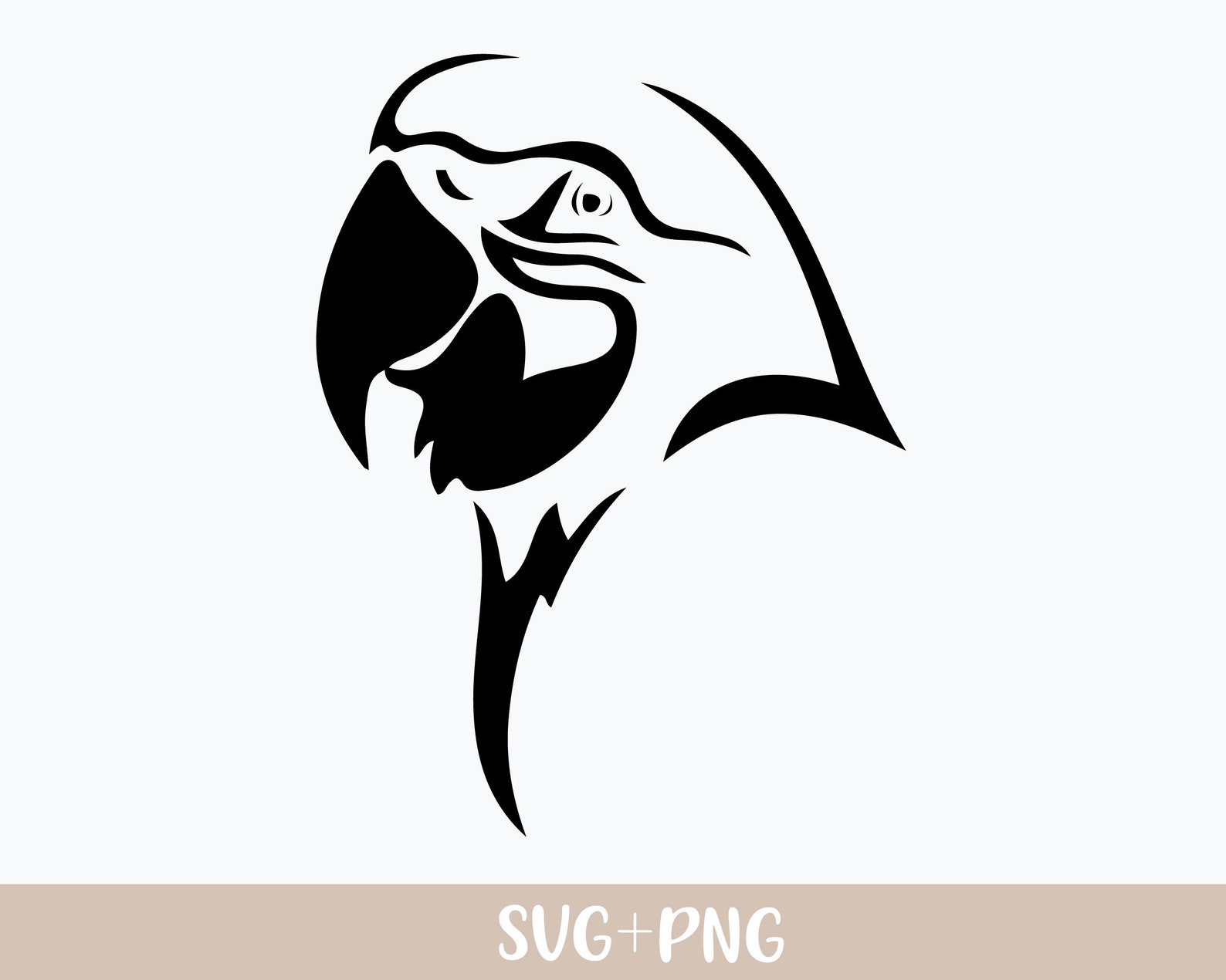 Parrot SVG, Parrot Png, Parrot Clipart, Parrot Files for Cricut, Parrot ...