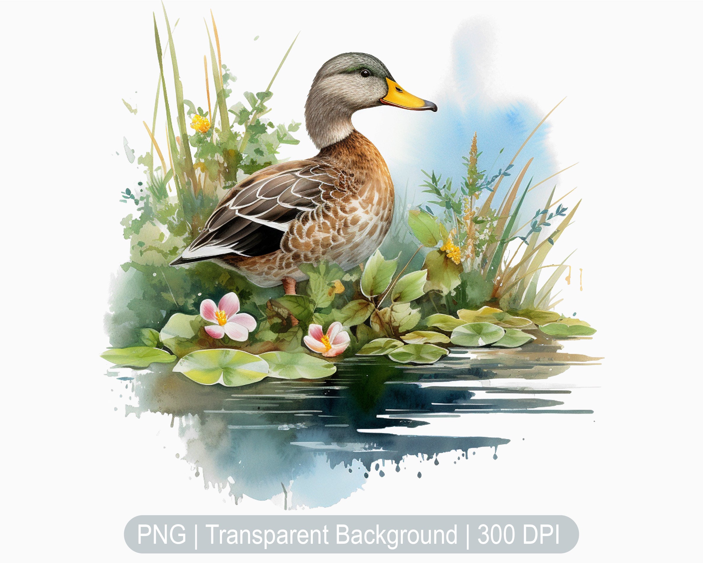 Watercolour Duck Clipart, Duck Pond Png, Ducklings Illustration, Duck ...