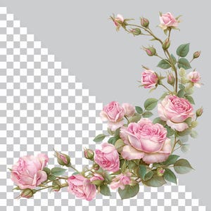 Pink Roses Corner Border Clipart, Pink Flowers, Spring Flowers, Junk ...