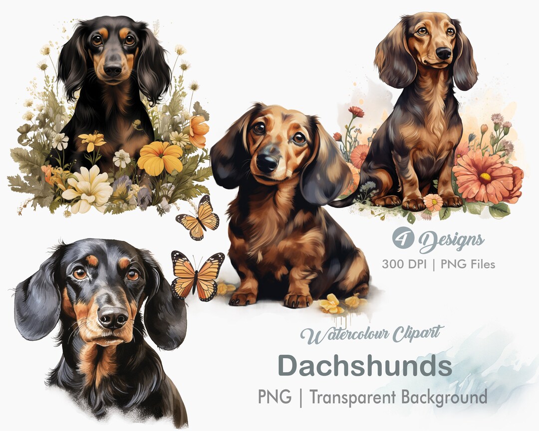 Dachshund Clipart, Dog PNG Clipart, Cute Puppy Graphics, Junk Journals ...