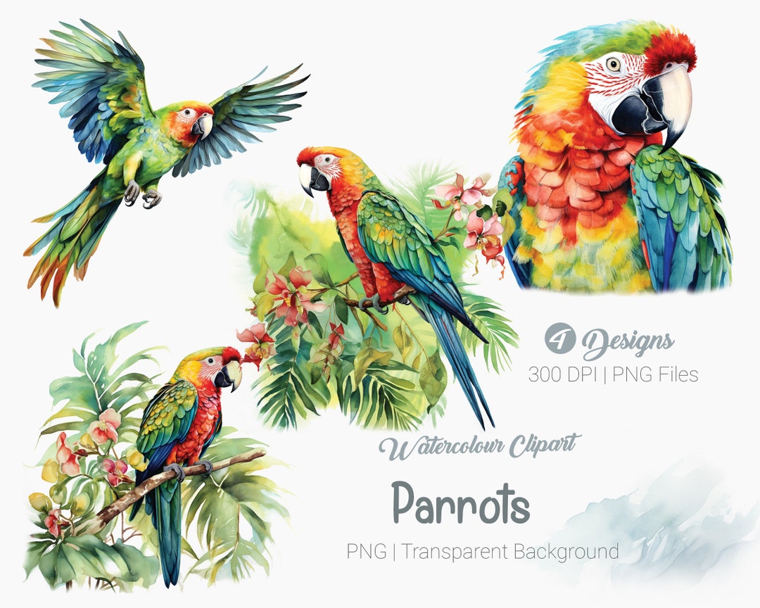 Watercolor Parrot Clipart, Tropical Birds With Flowers and Leaves ...