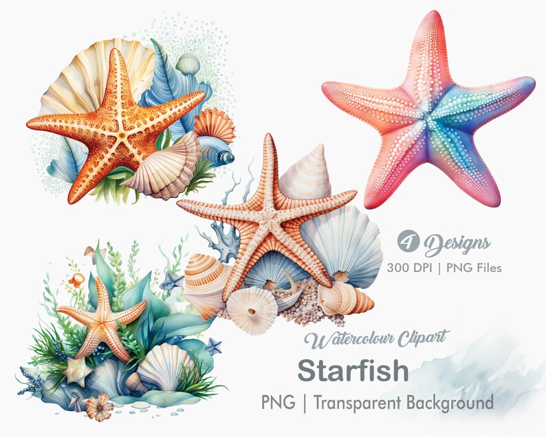 Starfish Clipart, Ocean Animals PNG Clipart, Sea Shells, Junk Journals ...