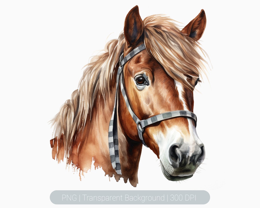 Horse Clipart Png, Watercolor Horse Face Png, Running Horse, Western ...
