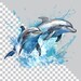 Watercolor Dolphins Clipart, Ocean Sunset, Sea Animals Png, Dolphin ...