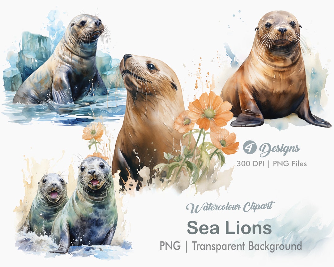 Sea Lions Clipart, Sea Lion PNG, Seal Clipart, Ocean Animals, Junk ...