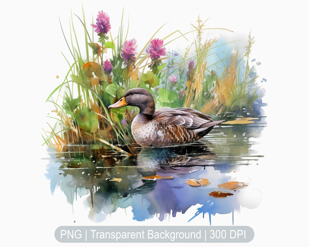 Watercolour Duck Clipart, Duck Pond Png, Ducklings Illustration, Duck ...