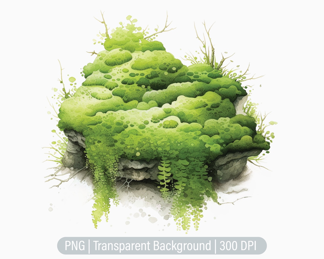 Moss Clipart, Moss Rocks and Stumps Clipart, Moss Tree Trunk, Junk ...