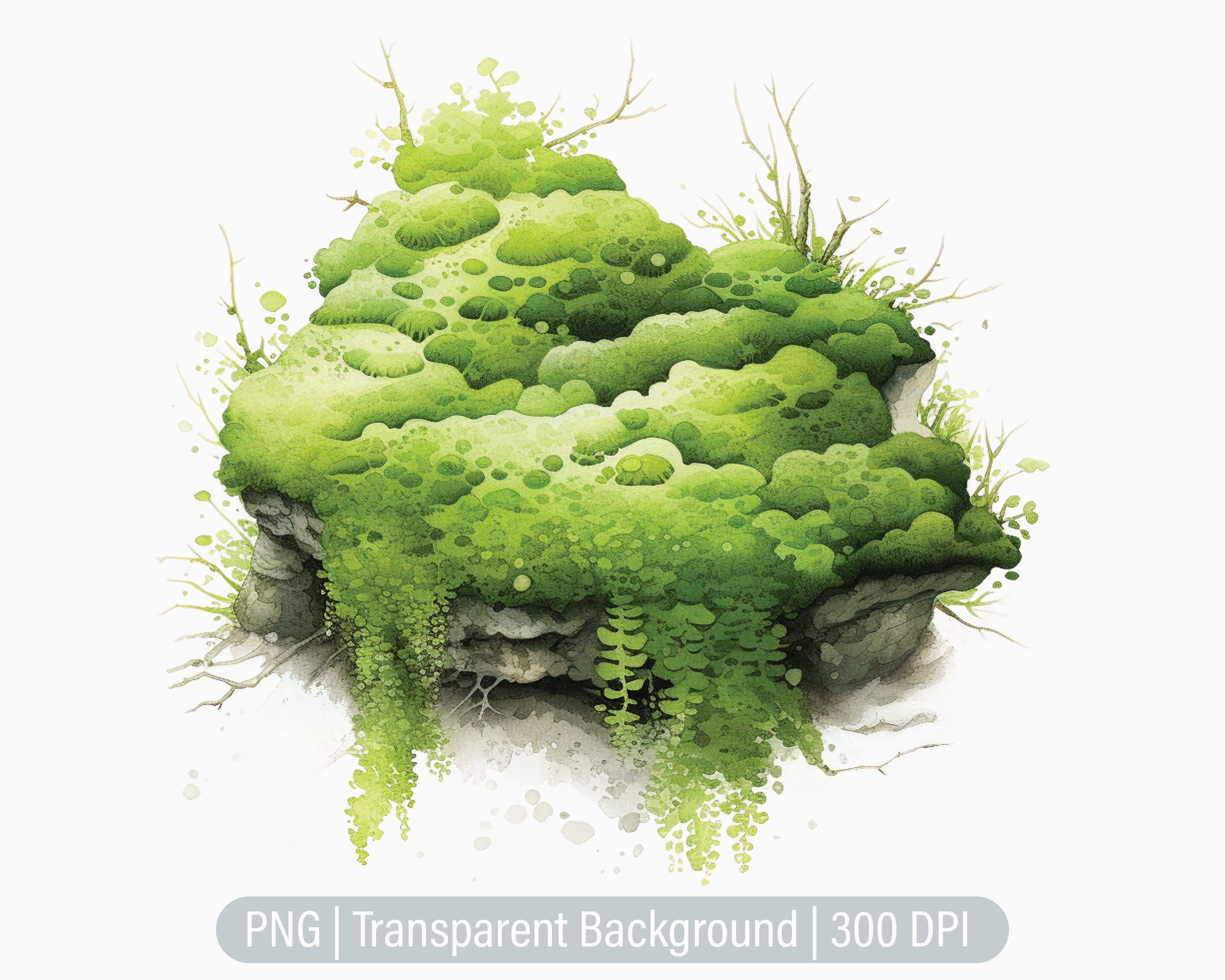 Moss Clipart, Moss Rocks and Stumps Clipart, Moss Tree Trunk, Junk ...