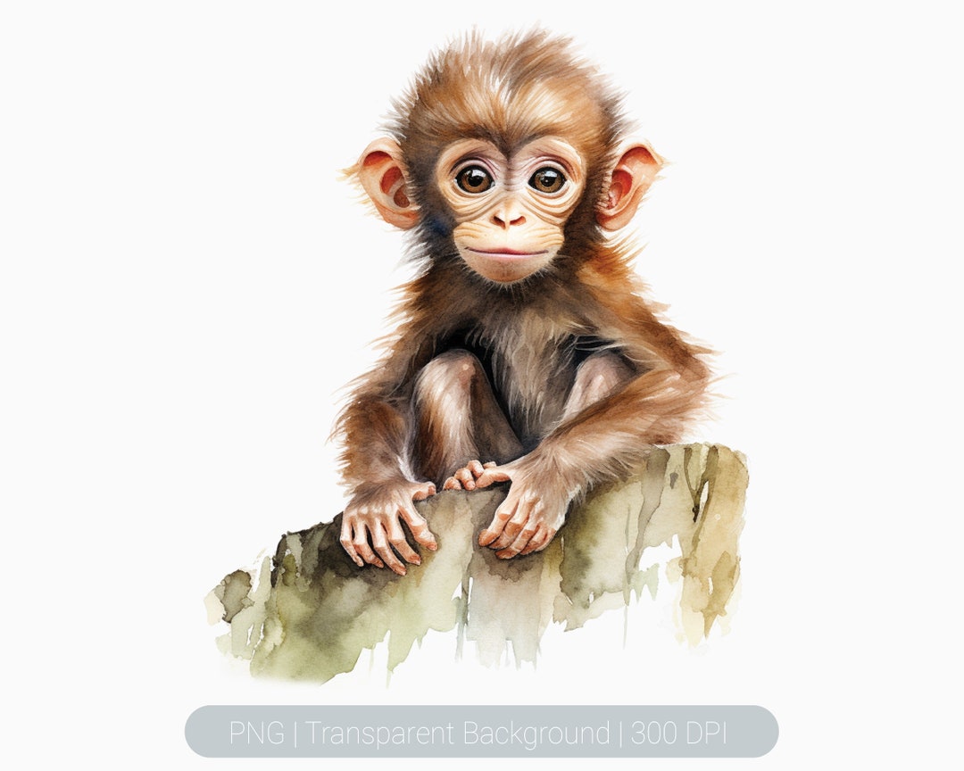 Monkey Watercolor Clipart, Cute Monkey Baby Shower, Nursery Decor, Zoo ...