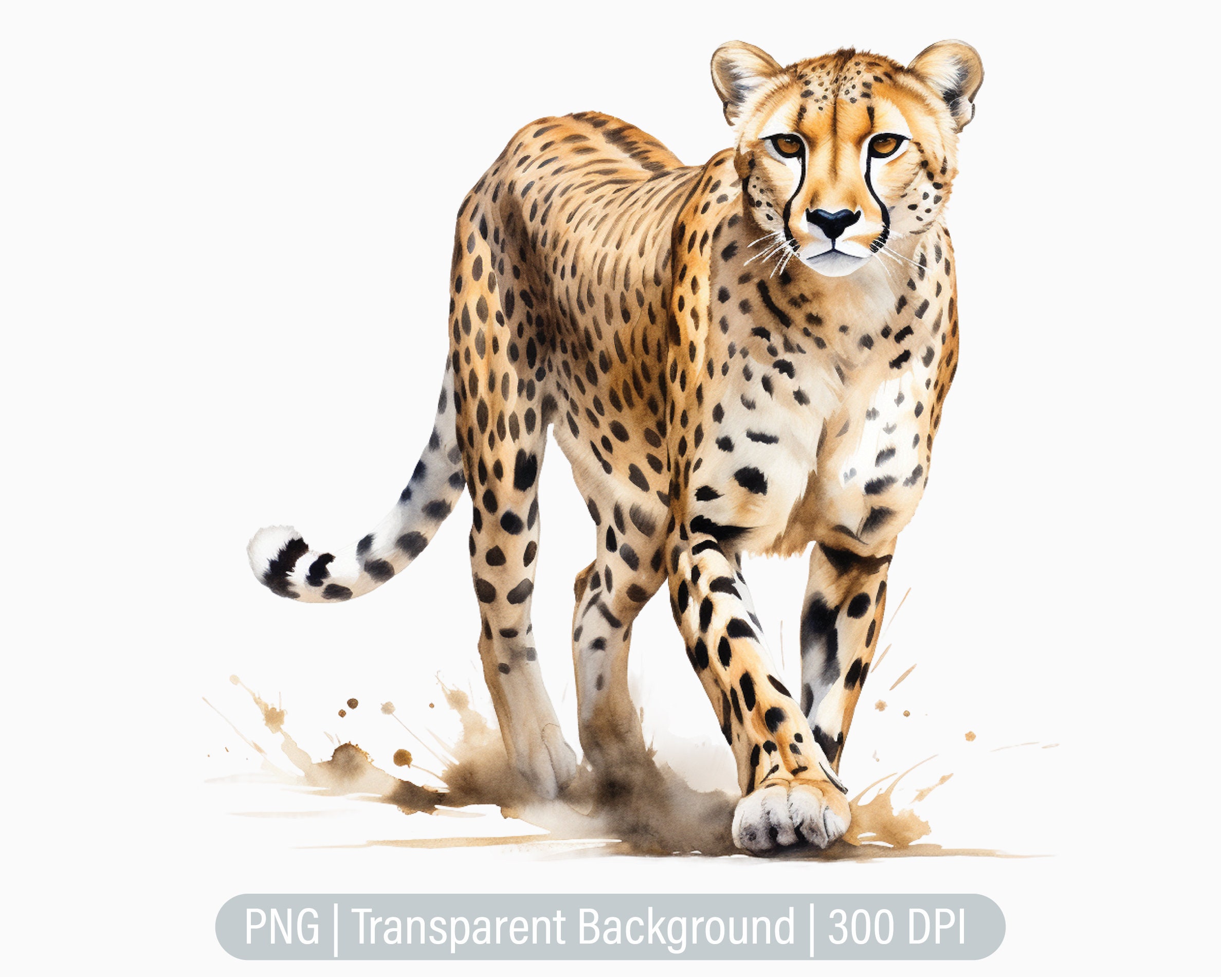 Roaring Cheetah Clipart, Safari Animals PNG, Savanna Animal, Junk ...