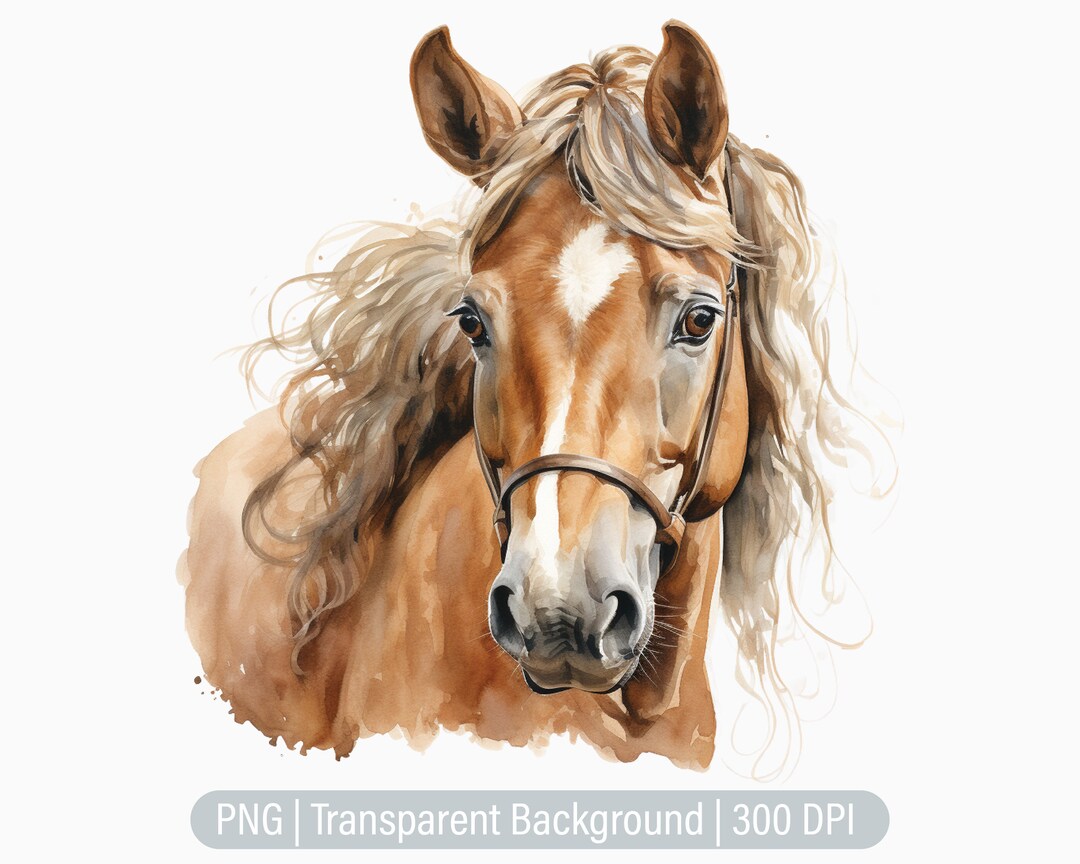 Horse Face Clipart, Horse Portrait Clipart, Farm Horses , Junk Journals ...