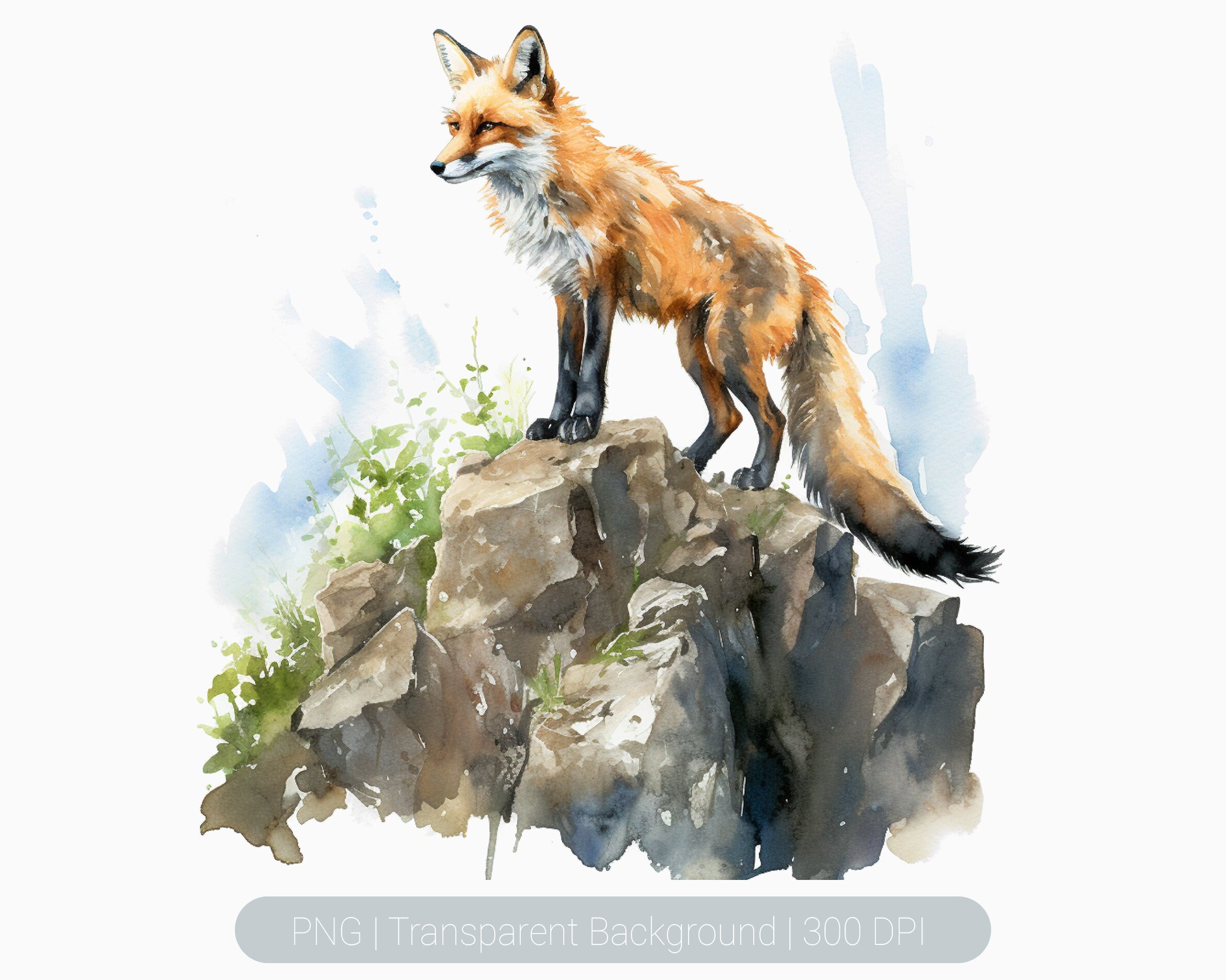 Watercolor Fox Clipart, Painted Foxes Clipart, Woodland Animal ...