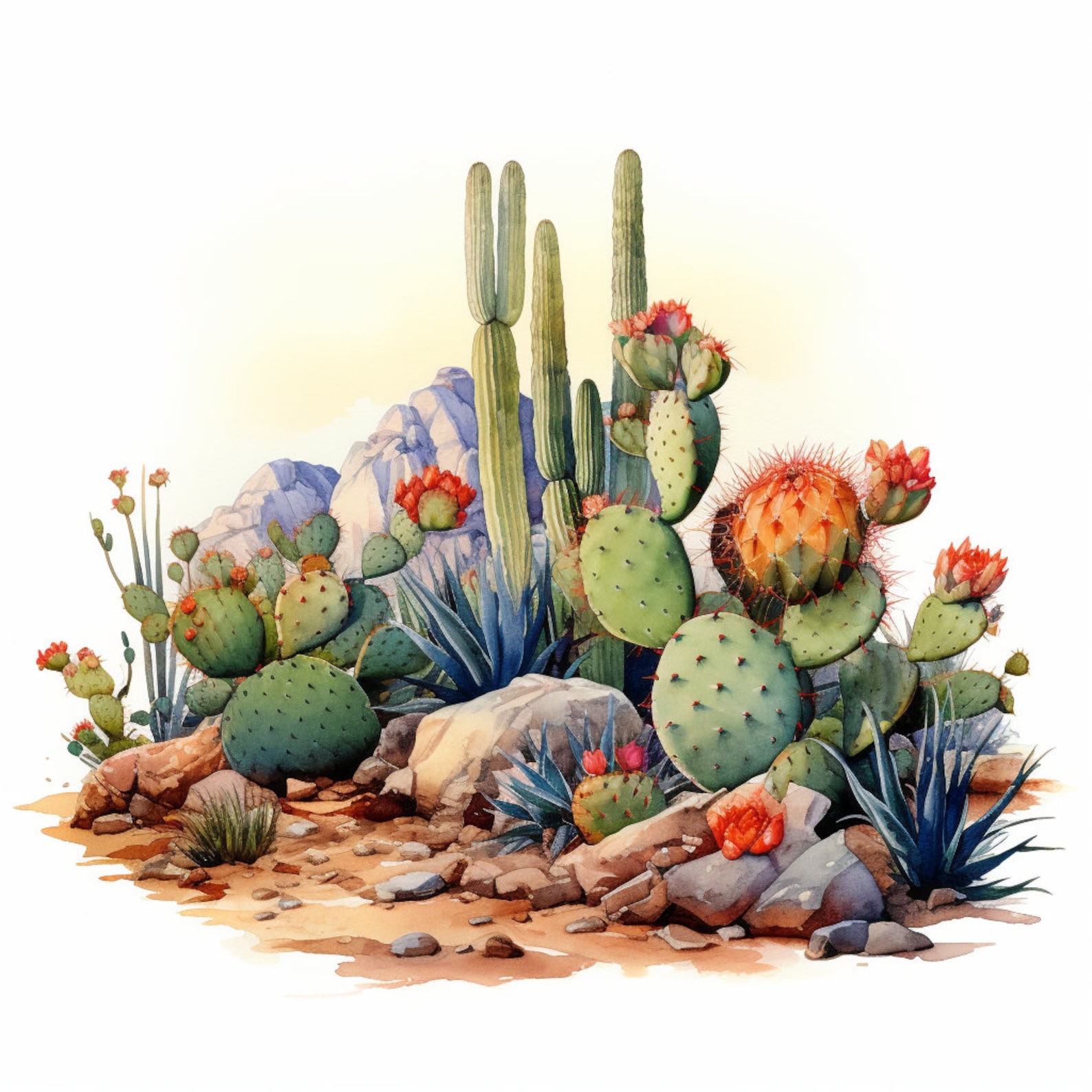 Watercolour Cactus Clipart, Desert Cactus Clipart, Desert Cacti ...