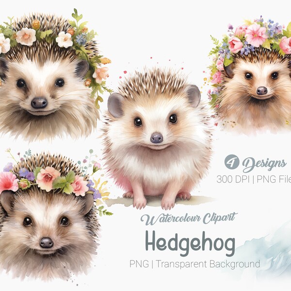 Hedgehog Sublimation - Etsy