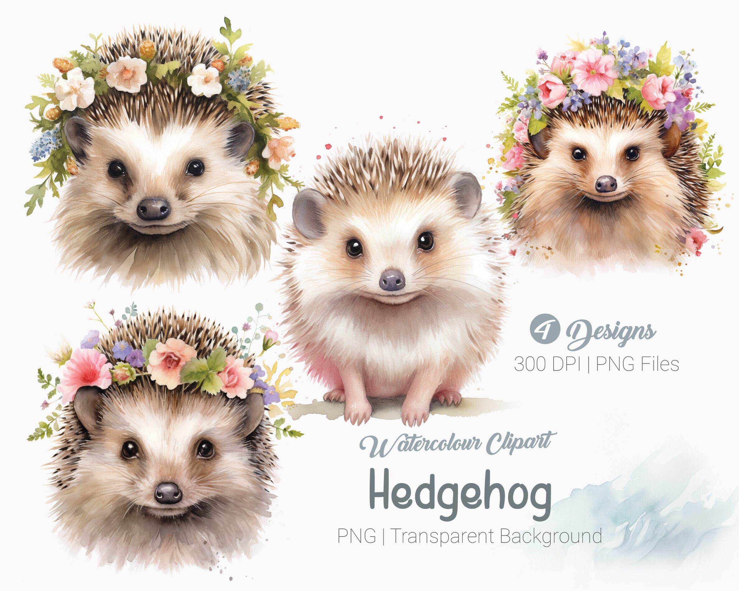 Watercolor Hedgehog Clipart, Cute Hedgehog Png, Floral Hedgehog ...