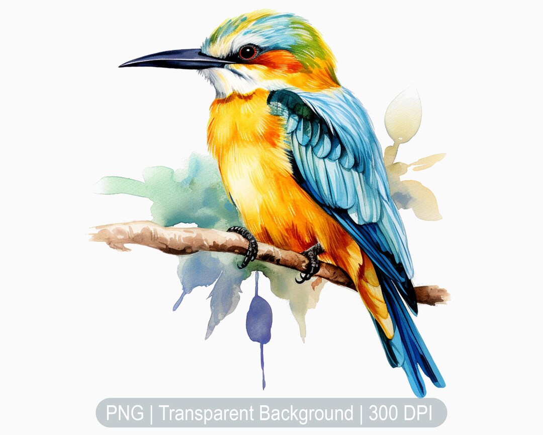 Tropical Bird Clipart, Watercolor Bird Png, Rainforest Bird, Colorful ...