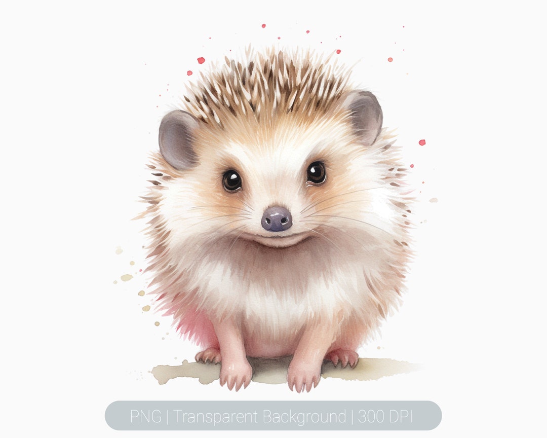 Watercolor Hedgehog Clipart, Cute Hedgehog Png, Hedgehog Clipart ...