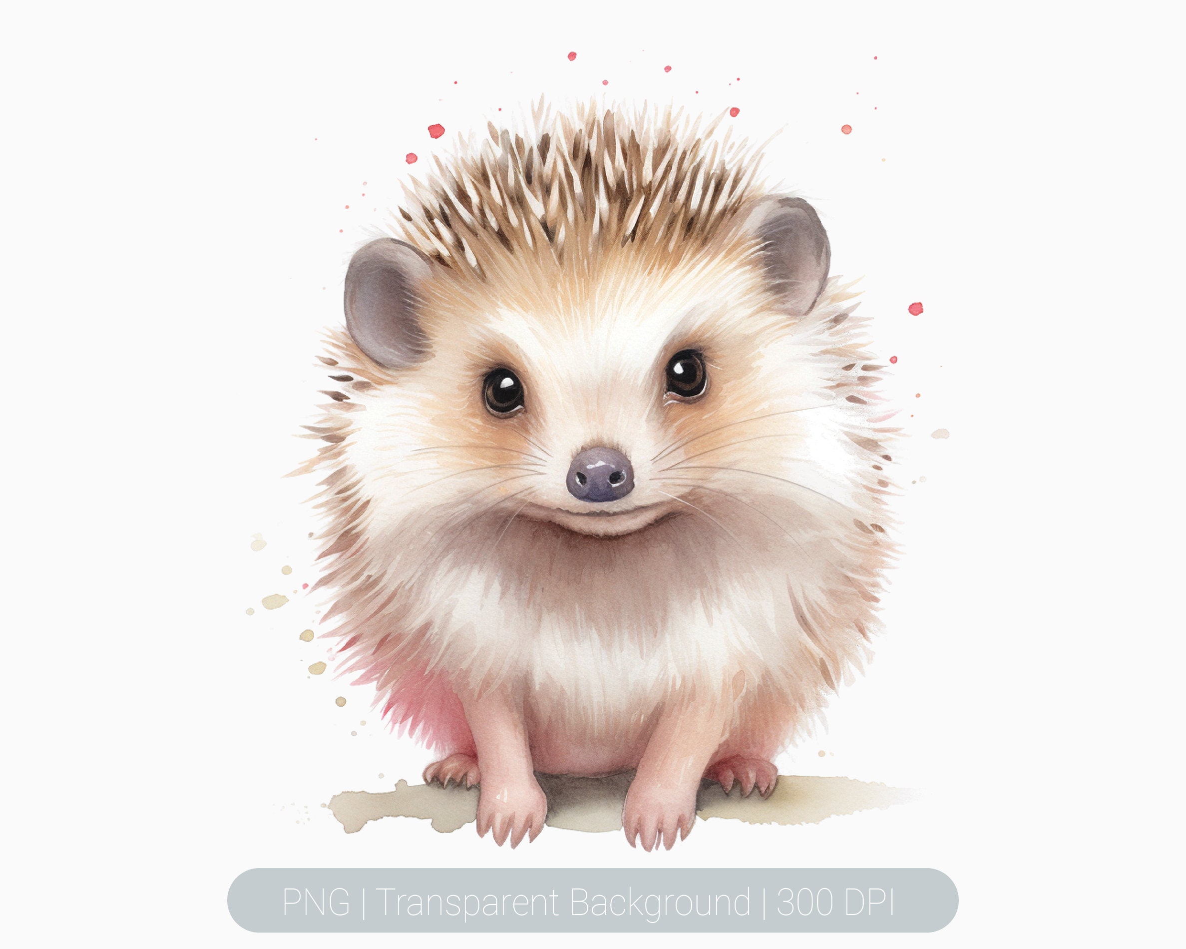Watercolor Hedgehog Clipart, Cute Hedgehog Png, Hedgehog Clipart ...